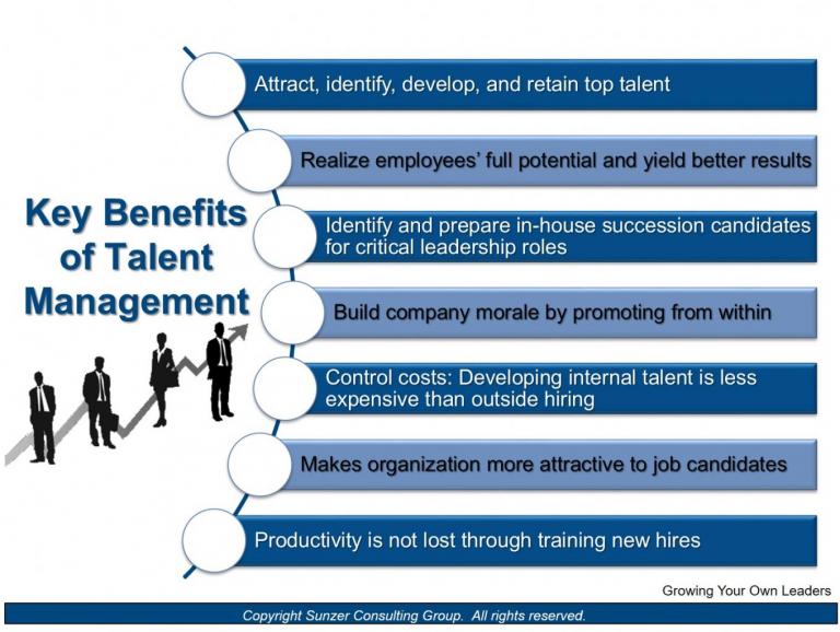 Talent Strategy Made Simple | Sunzer Consulting Group