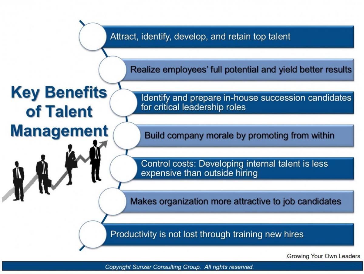 Talent Strategy Made Simple | Sunzer Consulting Group