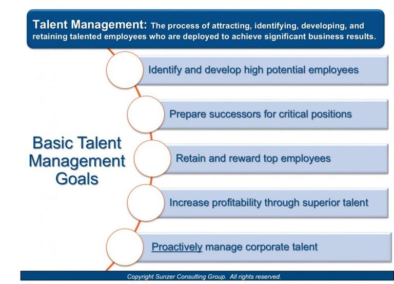 Talent Strategy Made Simple | Sunzer Consulting Group