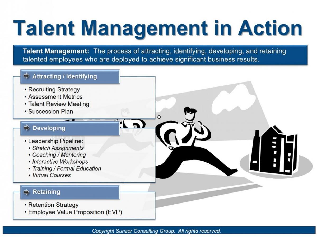 Talent Strategy Made Simple | Sunzer Consulting Group